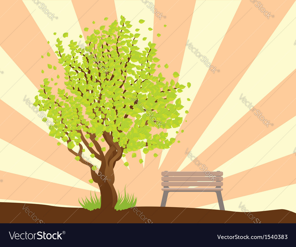 Summer tree Royalty Free Vector Image - VectorStock