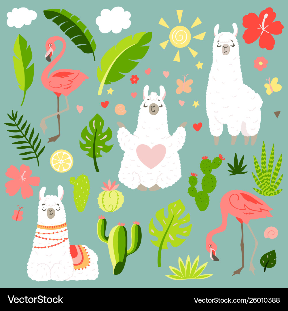 Lama in cartoon style Royalty Free Vector Image