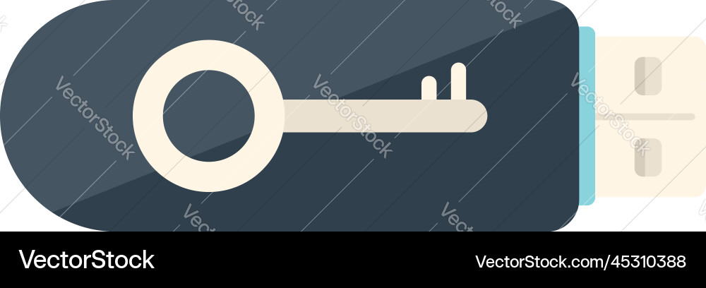 Usb flash password recovery icon flat page Vector Image