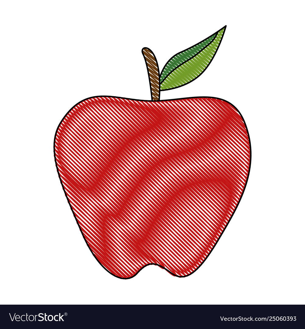 Apple fresh fruit healthy Royalty Free Vector Image