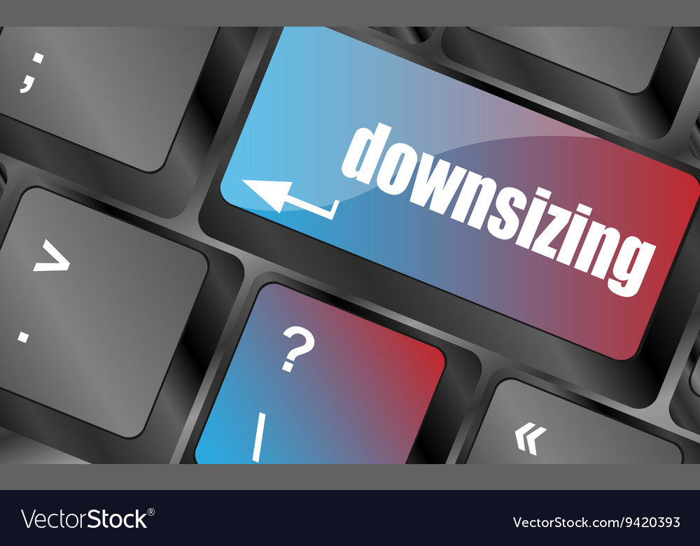 Cloud icon with downsizing word on computer Vector Image