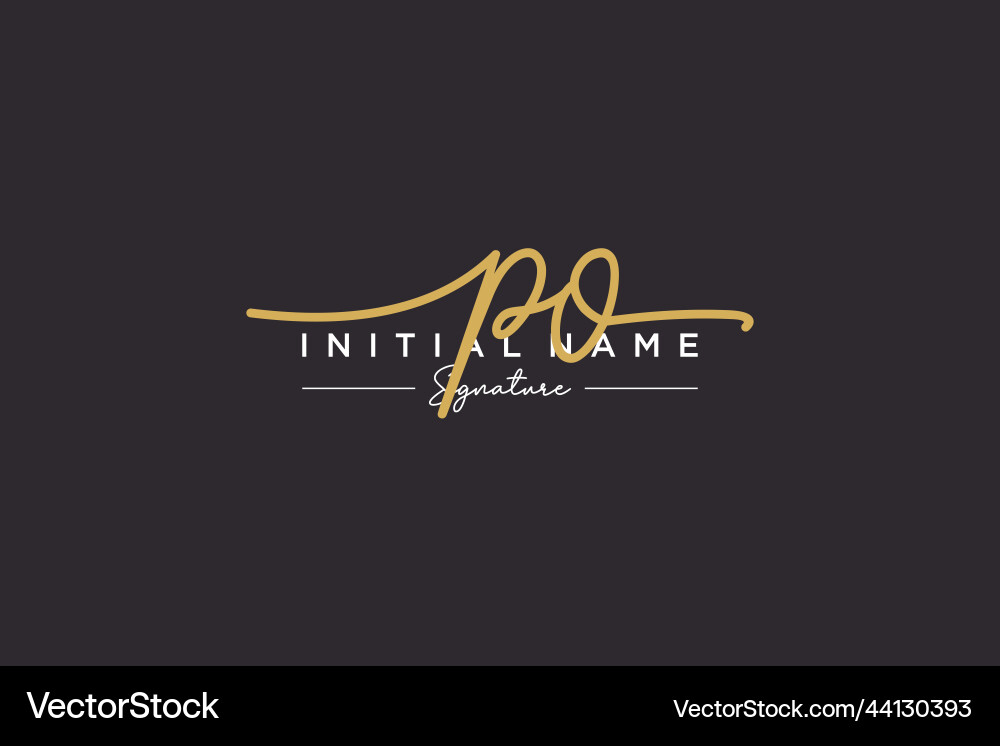 Initial po signature logo template hand drawn Vector Image
