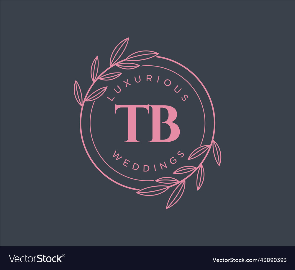 Tb initials letter wedding monogram logos Vector Image