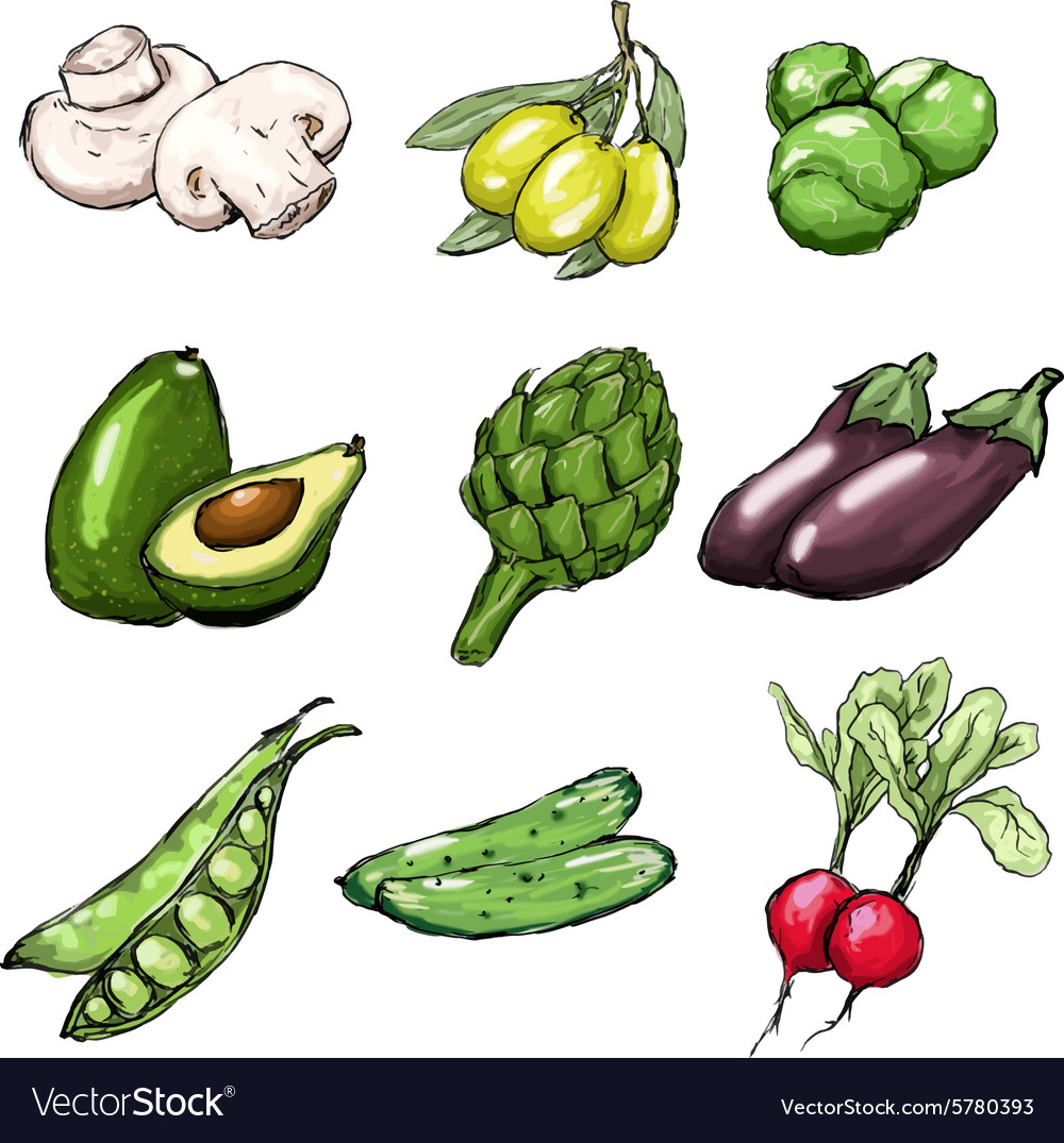 Vegetables set Royalty Free Vector Image - VectorStock