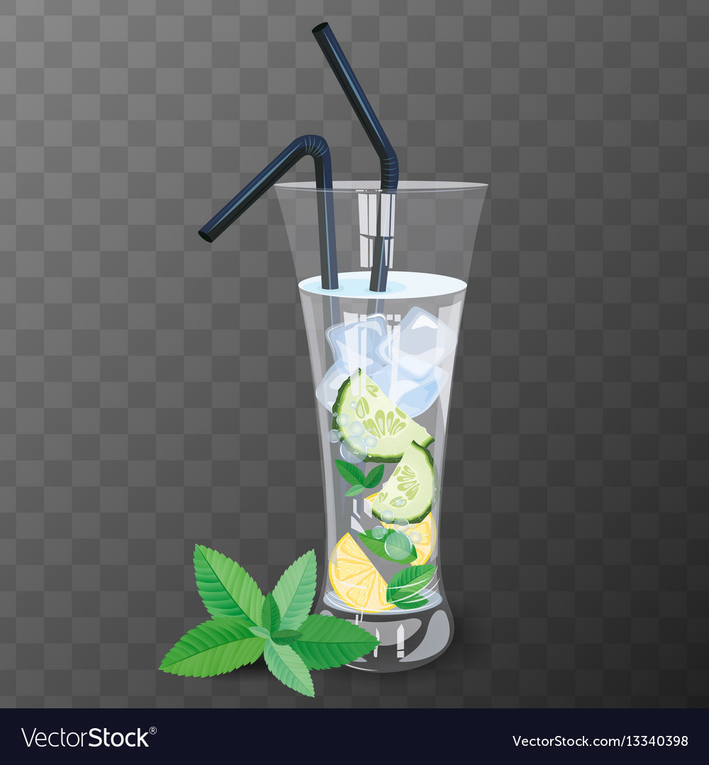Refreshing drink Royalty Free Vector Image - VectorStock