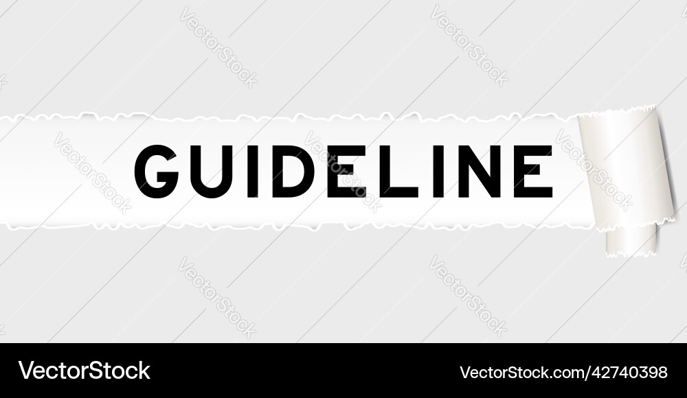 Ripped gray paper background that have word Vector Image