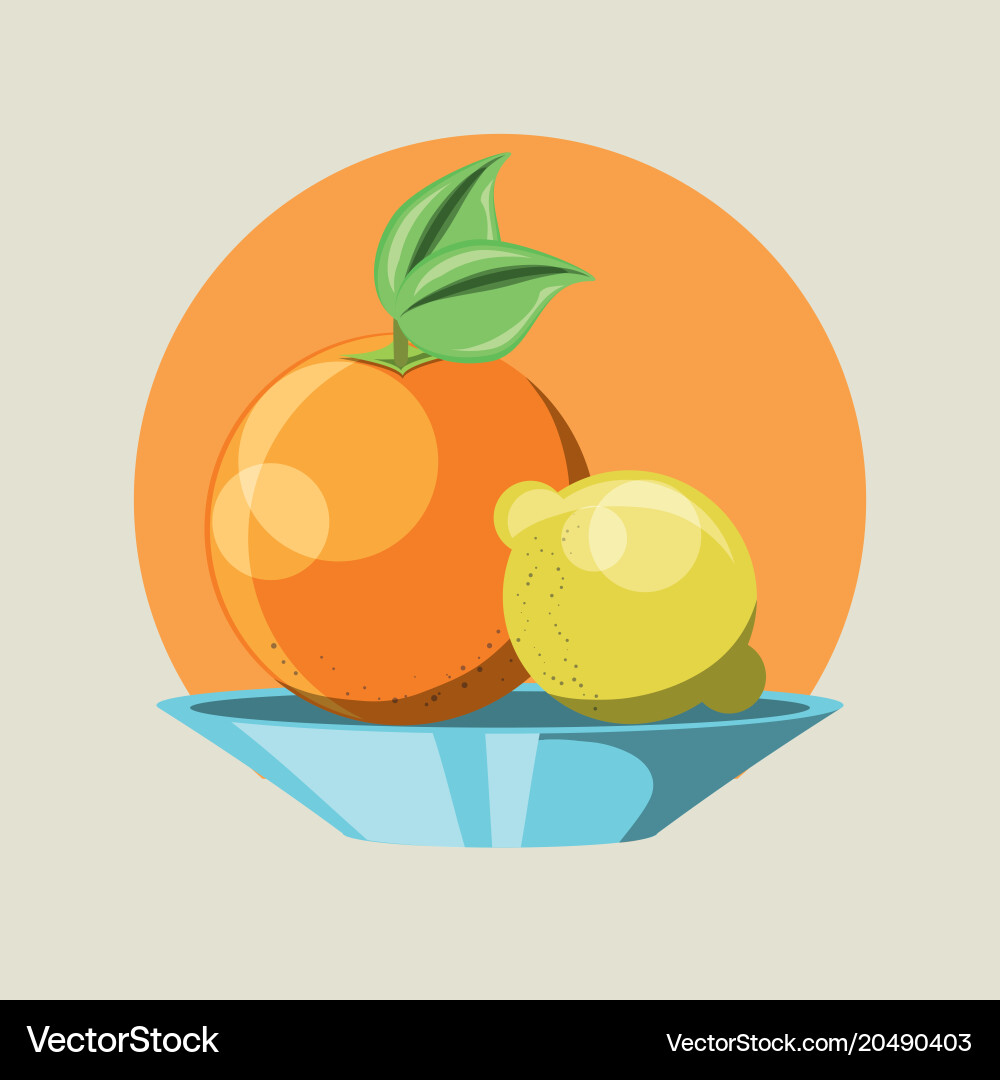 Citric fruits design Royalty Free Vector Image