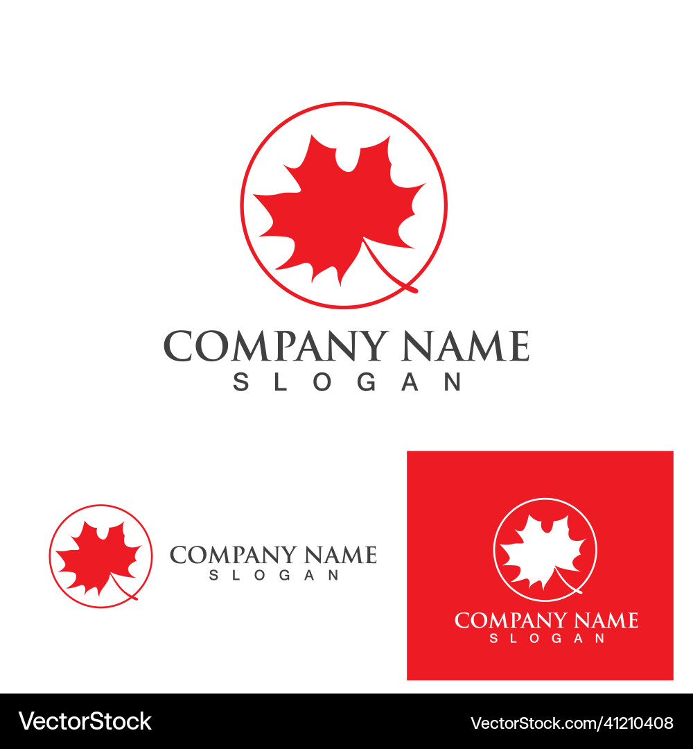 Autumn leaf logo and symbol icon Royalty Free Vector Image