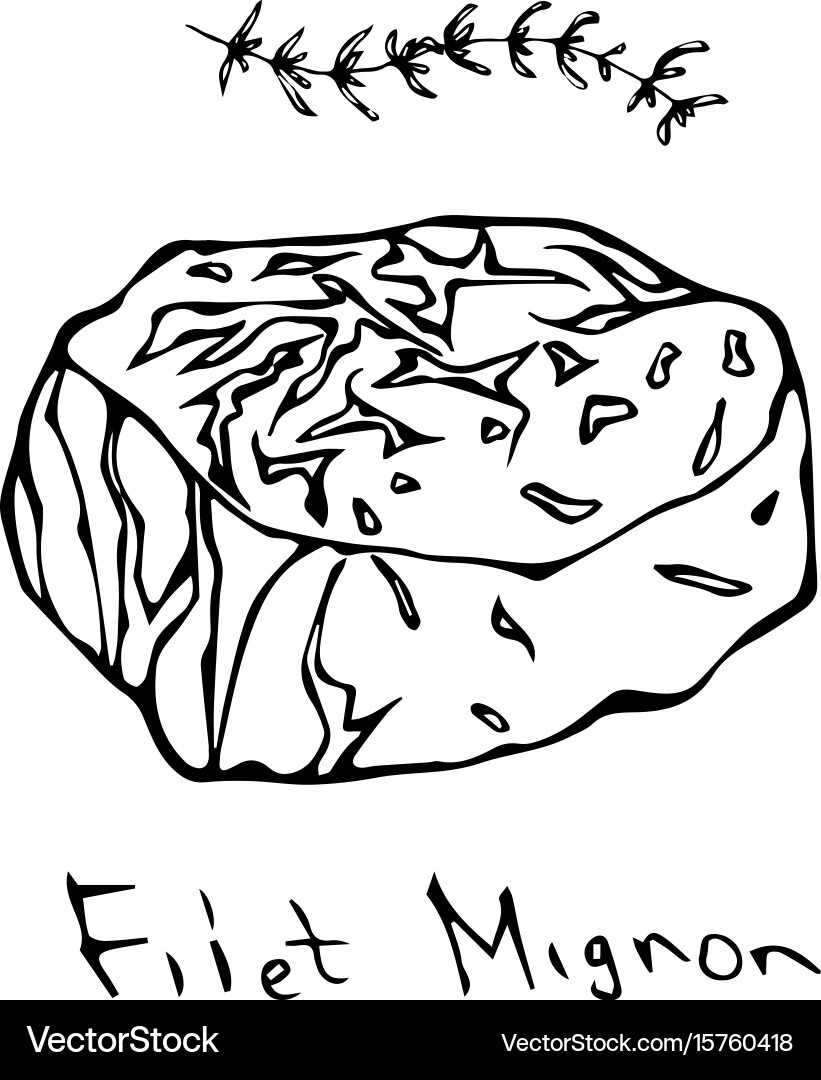 Filet mignon steak cut isolated on white Vector Image