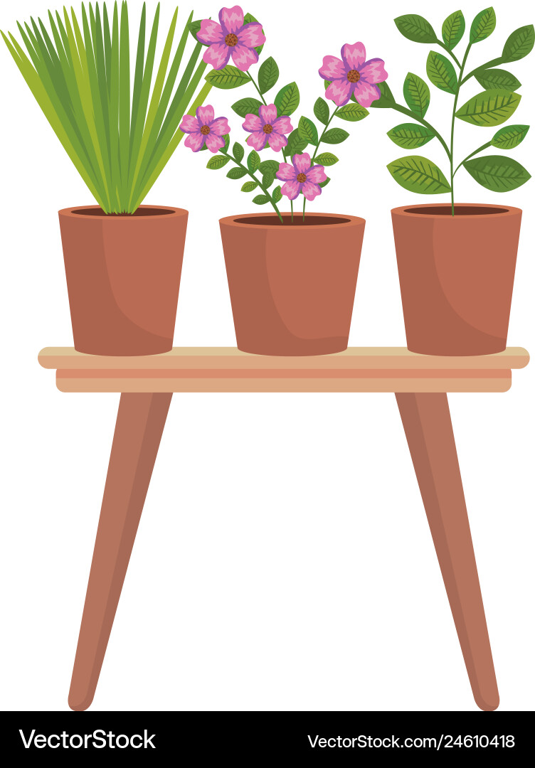 Houseplants in wooden table Royalty Free Vector Image