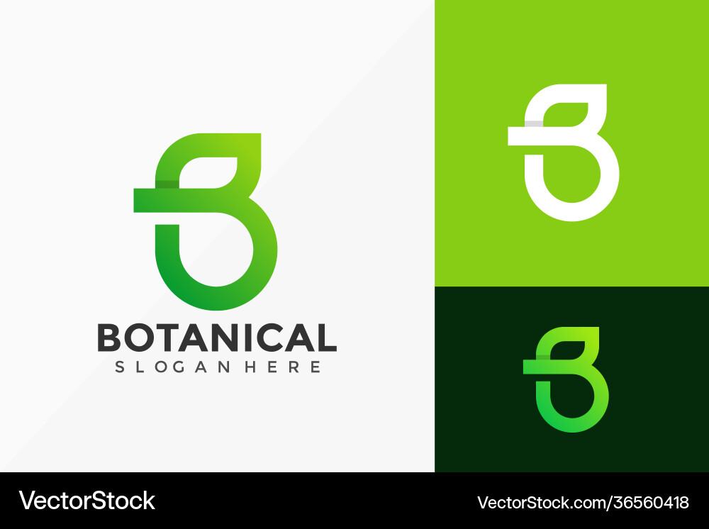Letter b botanical logo stock design abstract Vector Image