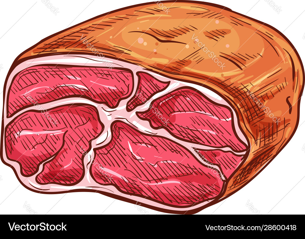 Piece ham isolated icon beef or pork Royalty Free Vector