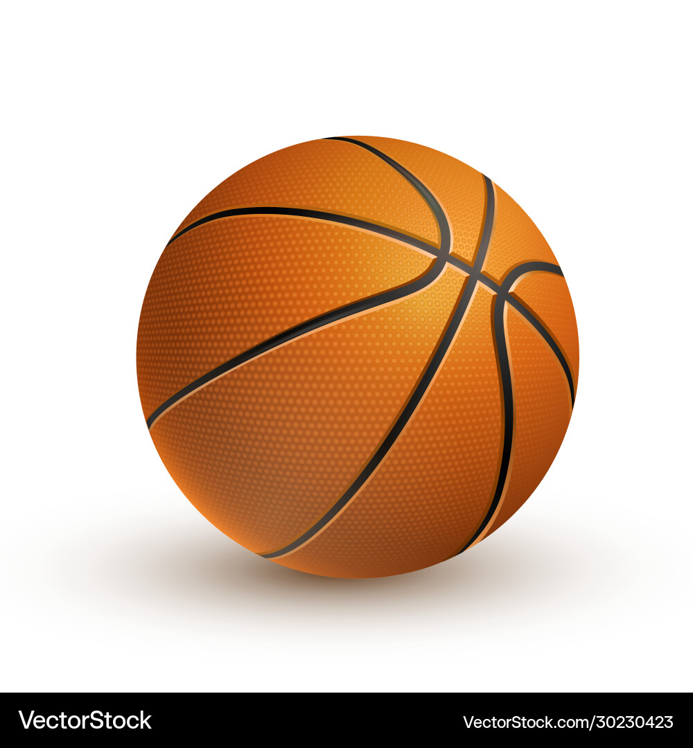 3d realistic basketball isolated on white Vector Image