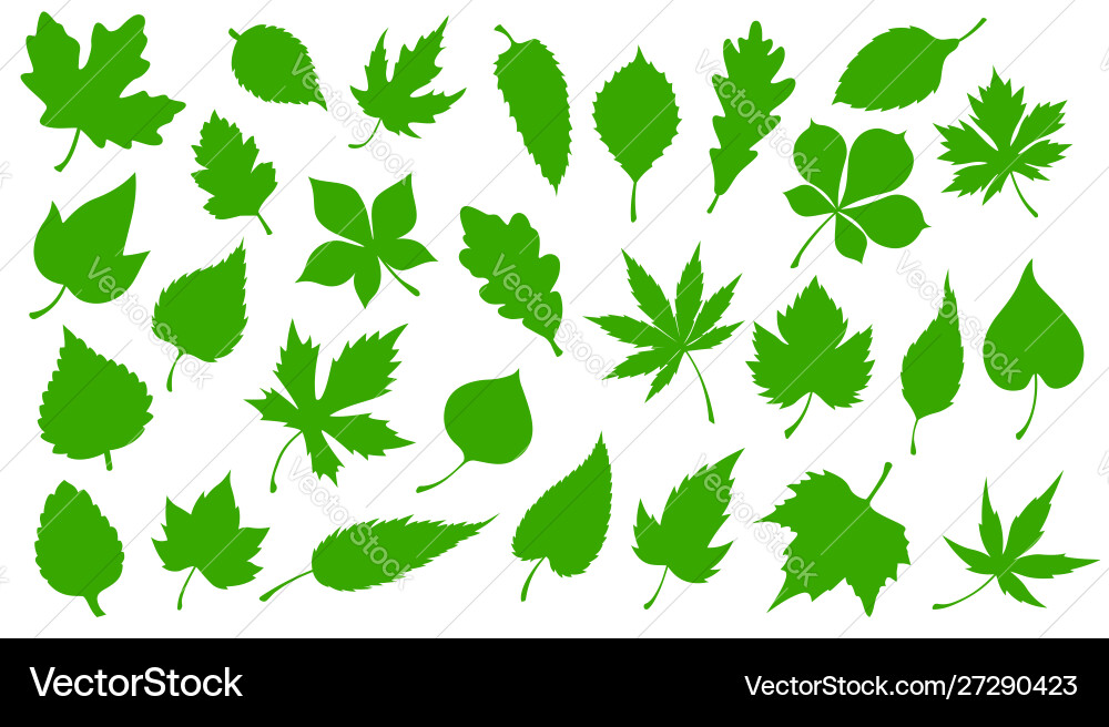 Green leaves nature tree leaf icons Royalty Free Vector