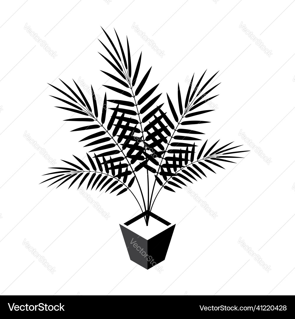Areca palm isometric icons in flat style Vector Image