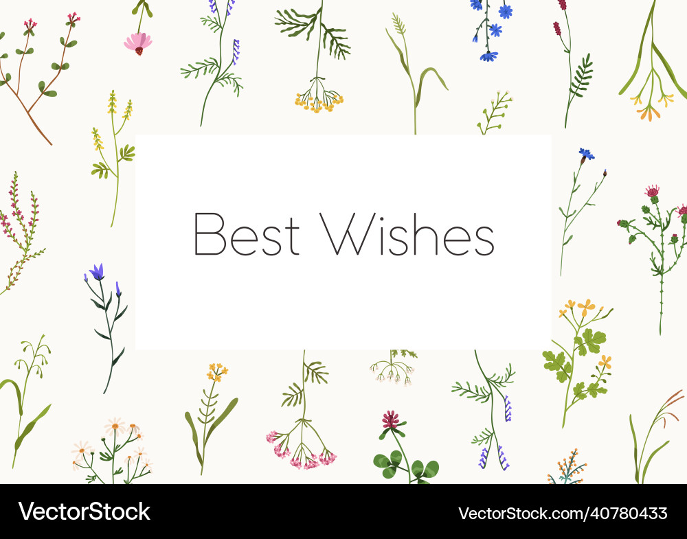 Floral card design with wild flower frame Vector Image
