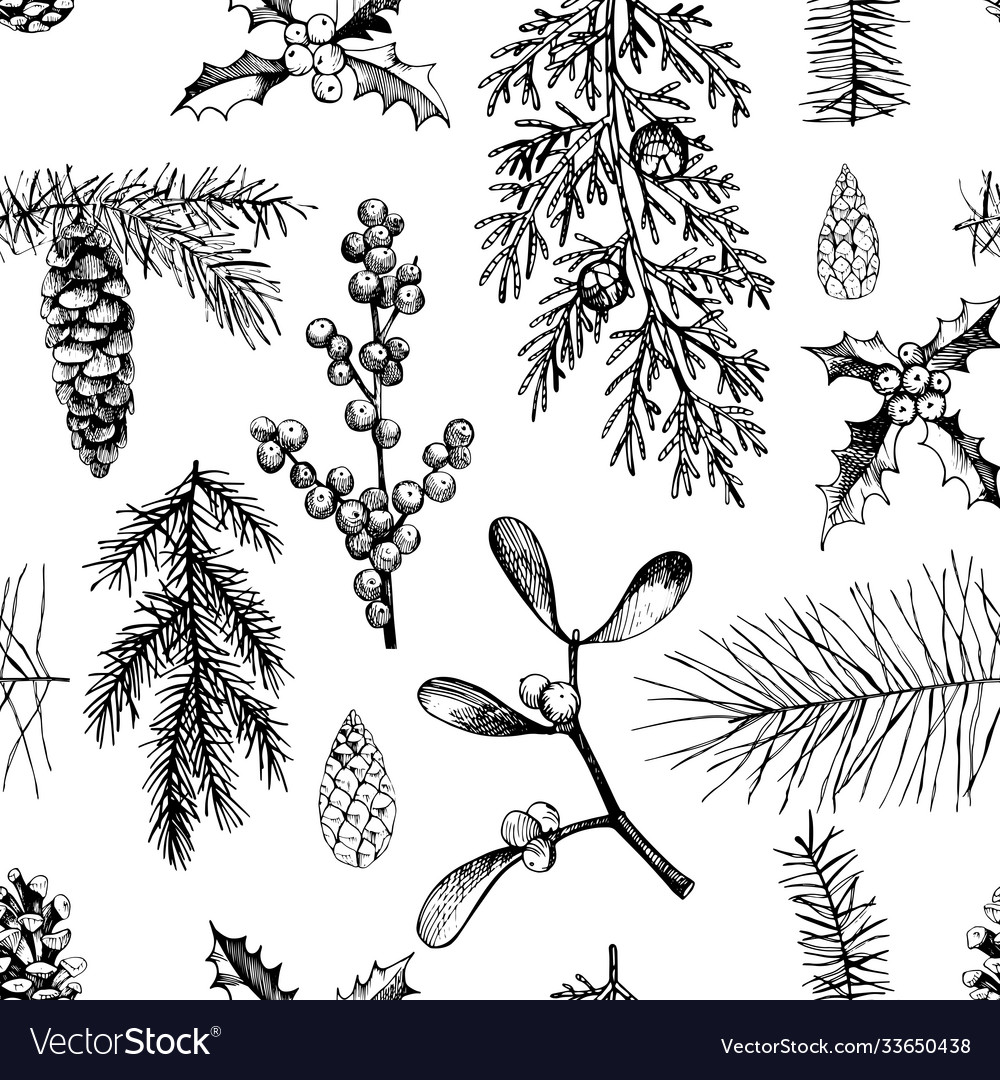 Pattern with hand-drawn christmas plants Vector Image Pattern with hand-drawn christmas plants Vector Image