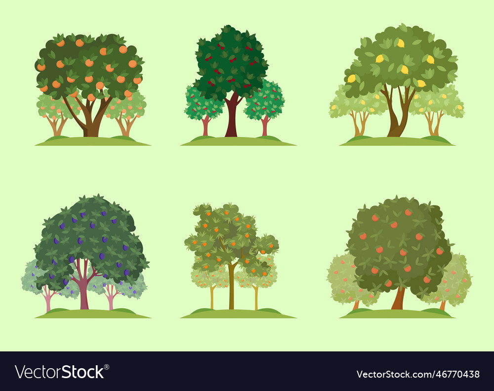 Trees with ripe fruit set Royalty Free Vector Image