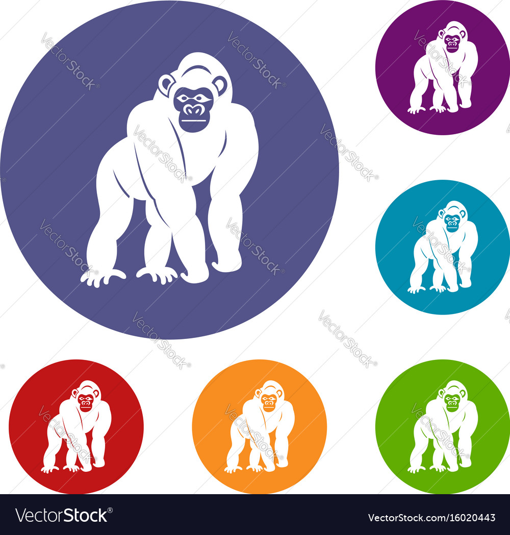 Bonobo icons set Royalty Free Vector Image - VectorStock Bonobo icons set Royalty Free Vector Image - VectorStock