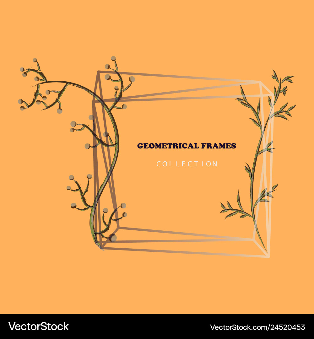 Floral elegant botanical card design Royalty Free Vector