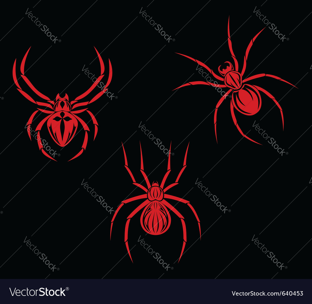 Spiders Royalty Free Vector Image - VectorStock