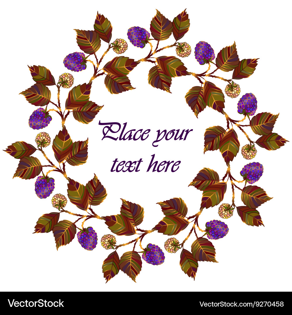 Blackberry berries and leaves Royalty Free Vector Image