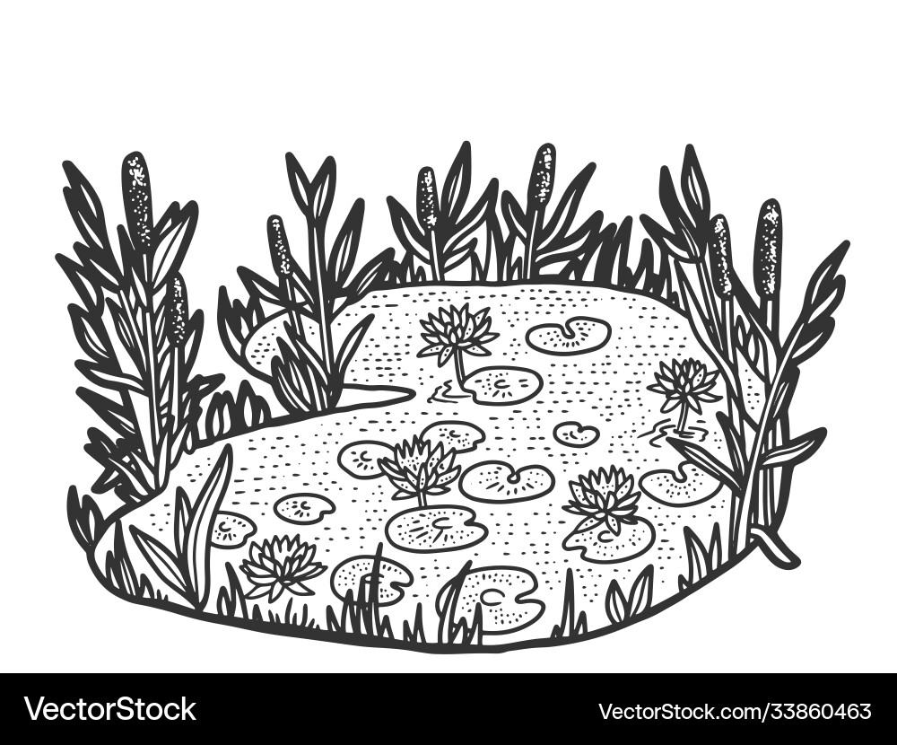 Nature swamp sketch scratch board imitation Vector Image