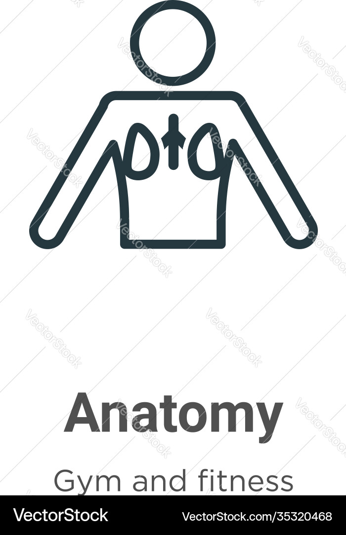 Anatomy outline icon thin line black icon Vector Image
