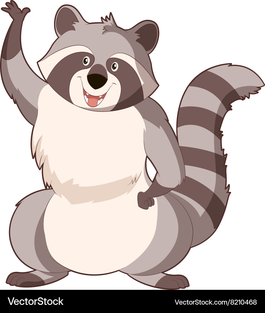 Cartoon cartoon Racoon Royalty Free Vector Image