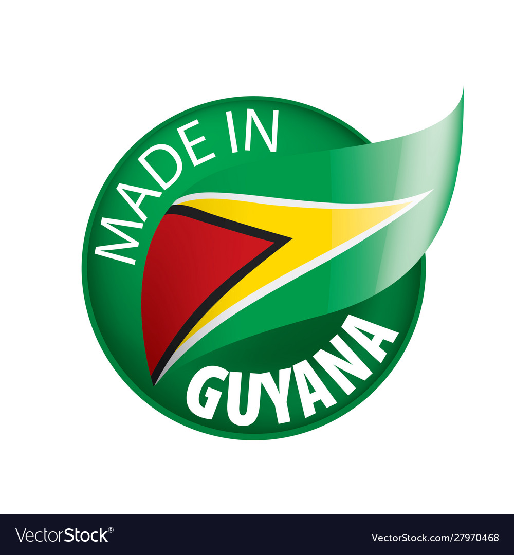 Guyana flag on a white Royalty Free Vector Image