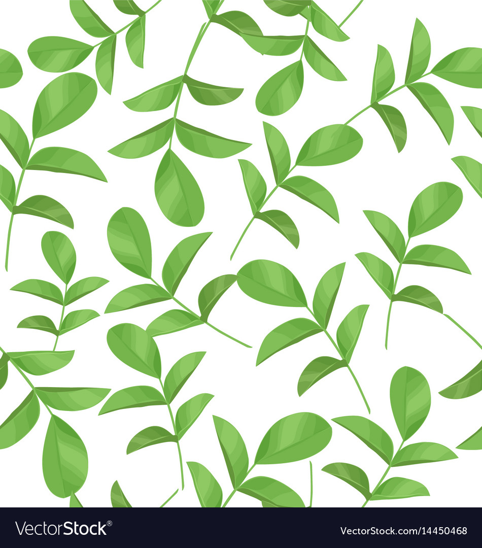 Leaf pattern background Royalty Free Vector Image