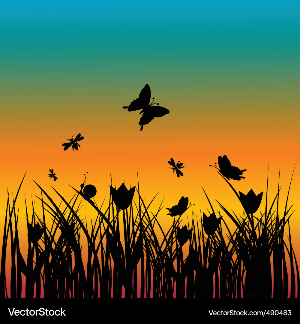 Sunset landscape Royalty Free Vector Image - VectorStock