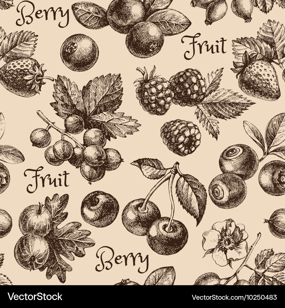 Vintage hand drawn sketch berries seamless pattern
