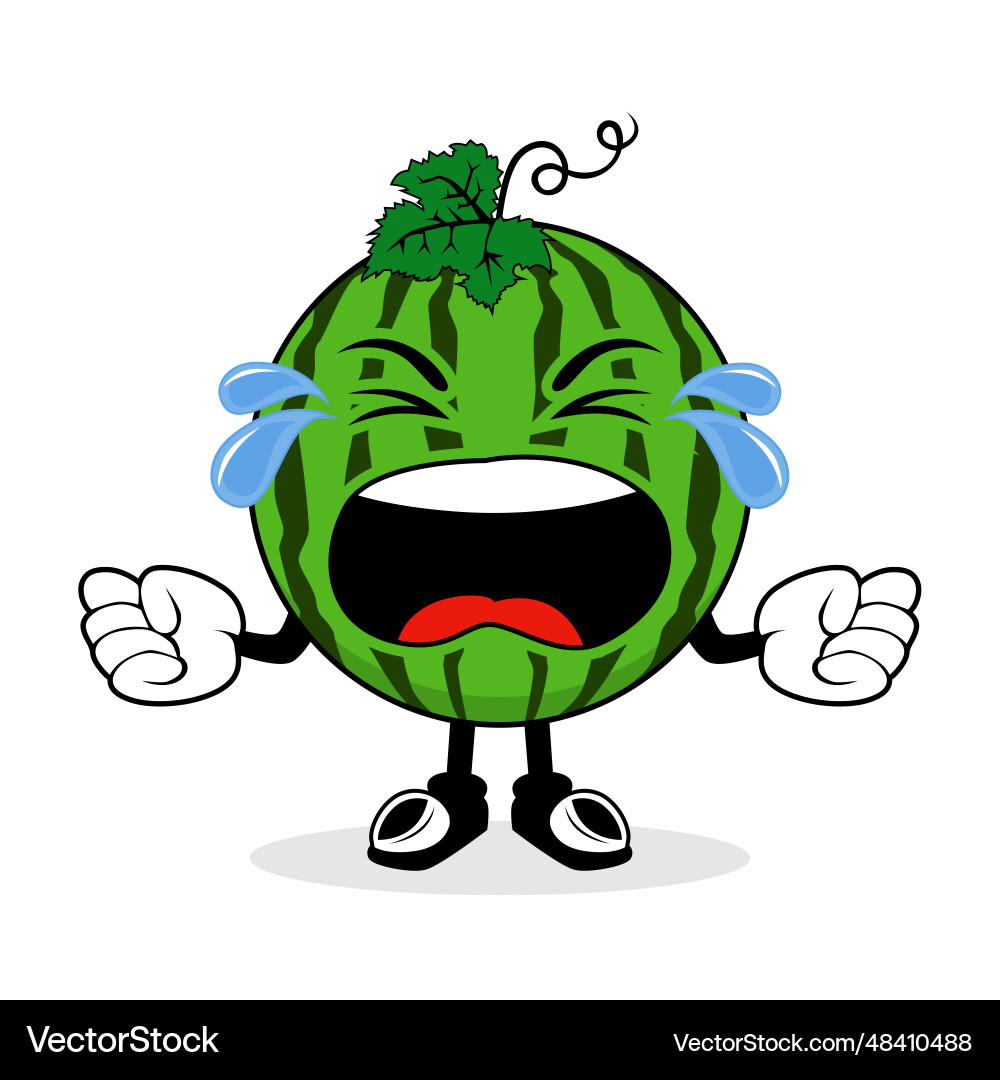 Crying watermelon mascot cartoon character Vector Image