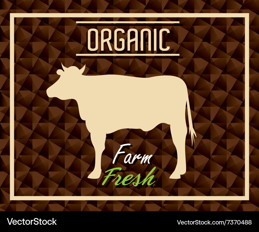 Farm fresh organic product Royalty Free Vector Image