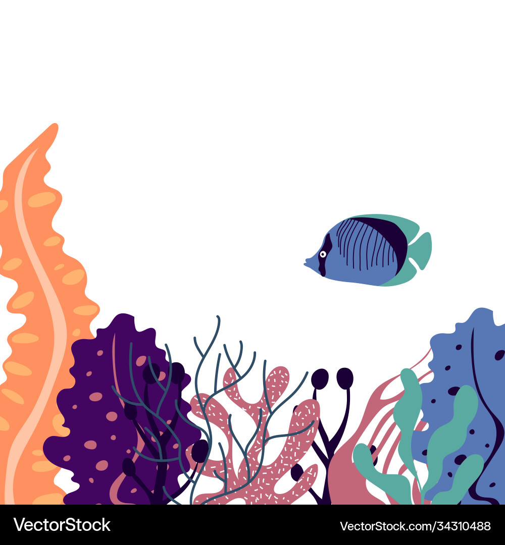 Sea life with underwater algae and fish floating Vector Image