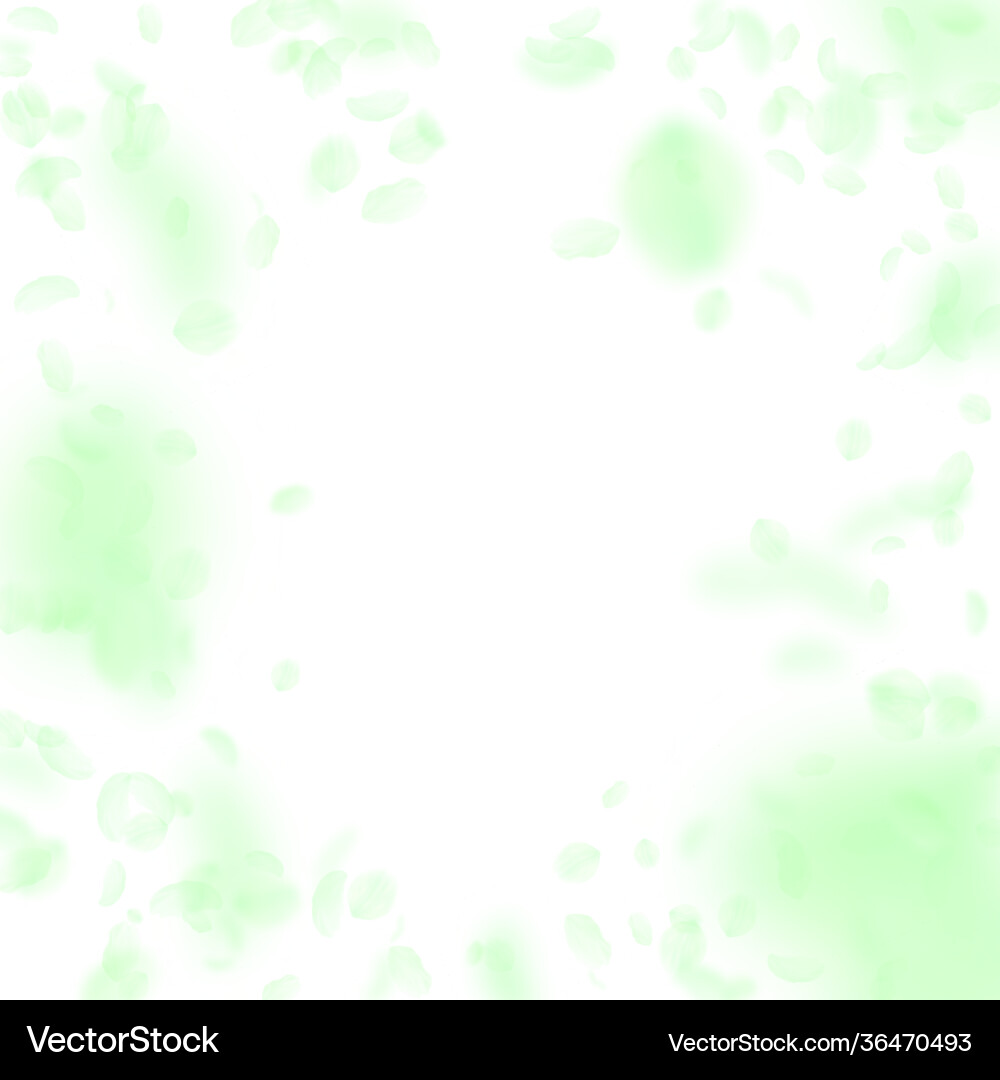 Green flower petals falling down terrific romanti Vector Image