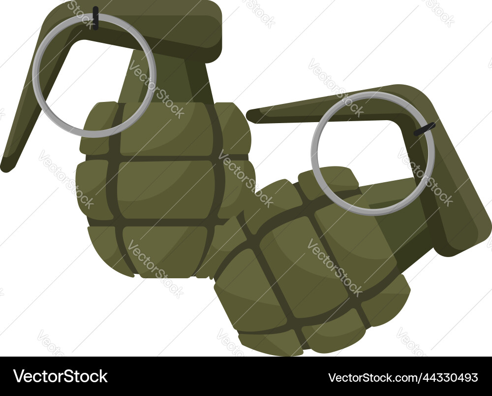 Hand granade on a white background Royalty Free Vector Image