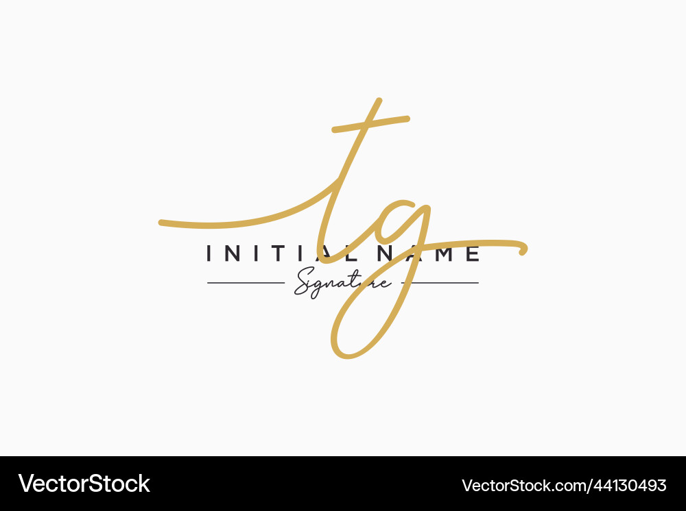 Initial tg signature logo template hand drawn Vector Image