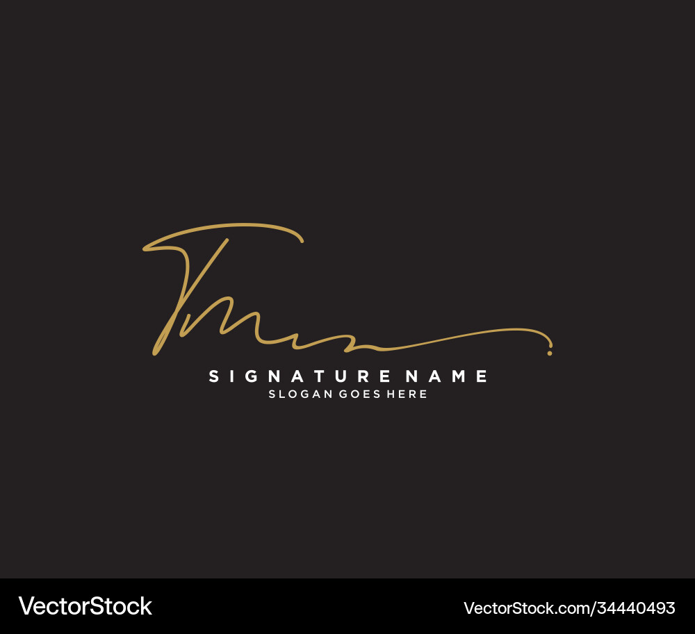 Letter tm signature logo template Royalty Free Vector Image