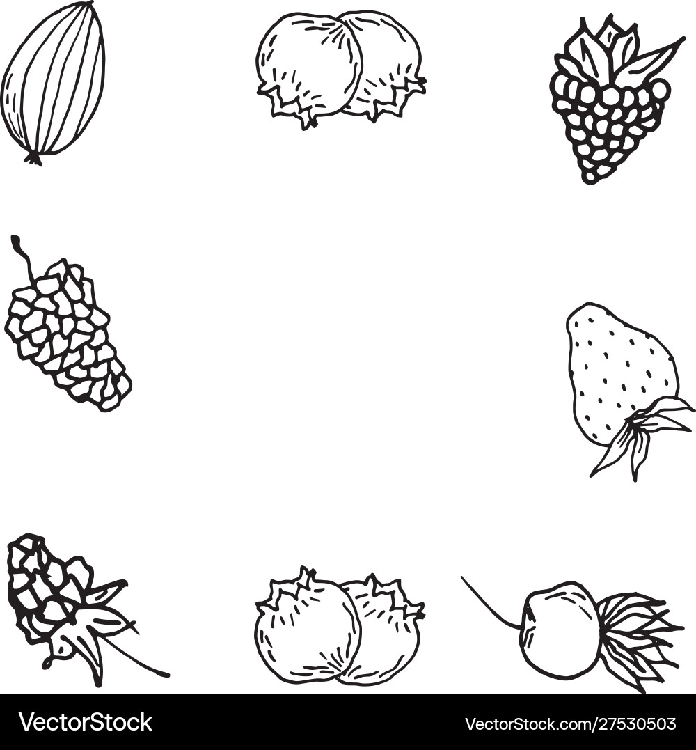 Berry color hand drawn set fruit botany berries Vector Image