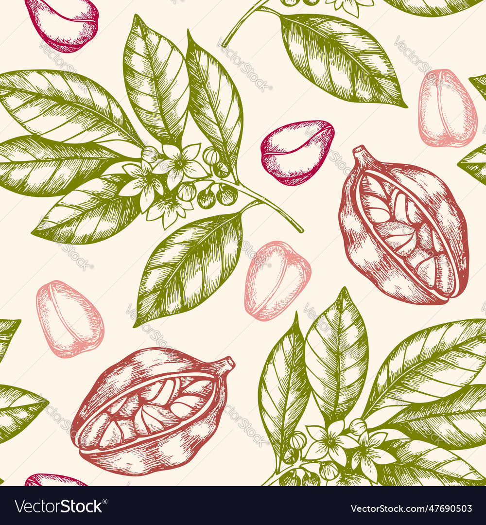 Seamless pattern with cola nuts Royalty Free Vector Image