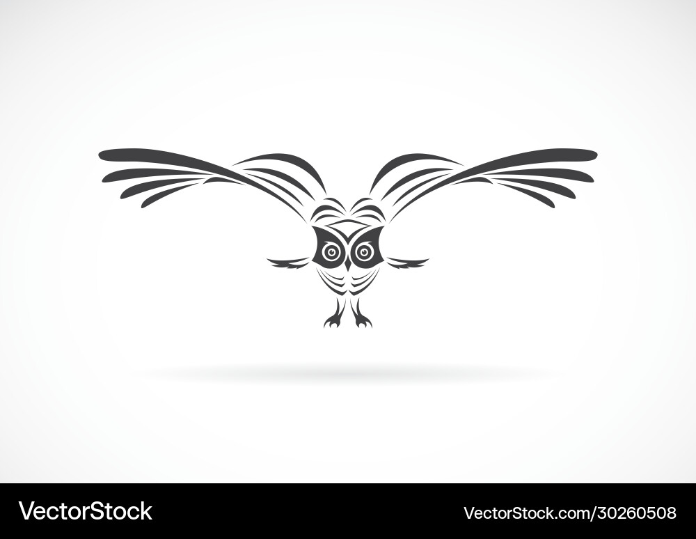 An owl design on a white background wild animals Vector Image