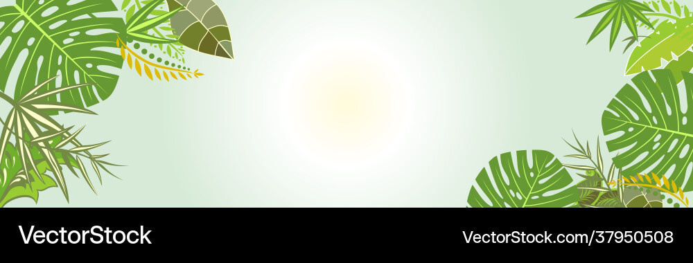 Green banner with tropical leaves Royalty Free Vector Image