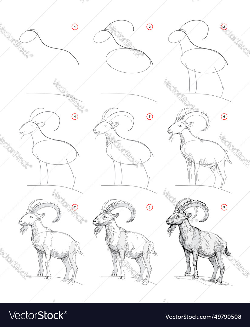 Page shows how to learn draw from life sketch Vector Image