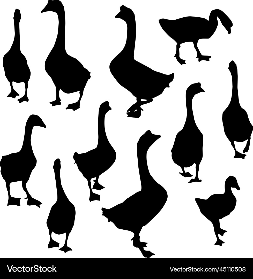 Set geese black duck goose silhouette isolated Vector Image