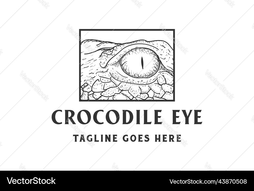 Vintage retro square crocodile alligator Vector Image