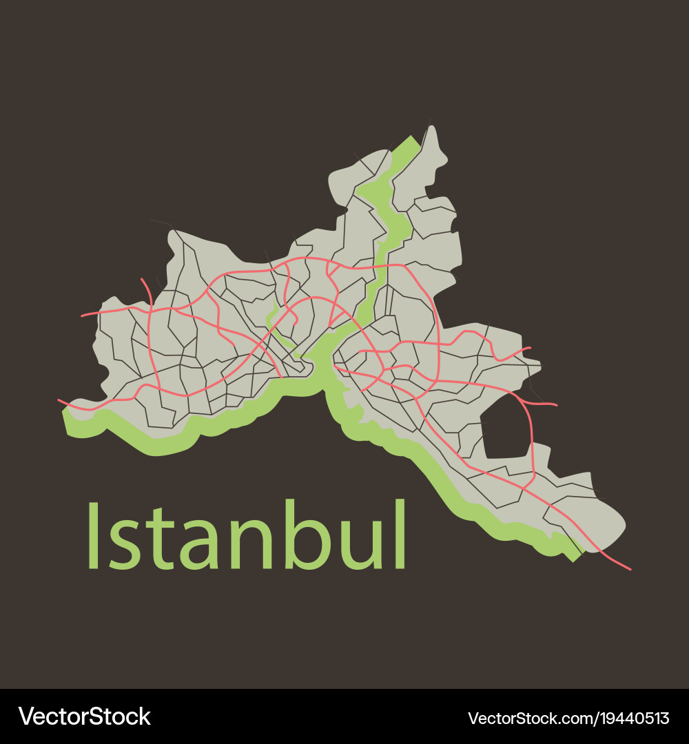 High quality map of istanbul flat with borders Vector Image