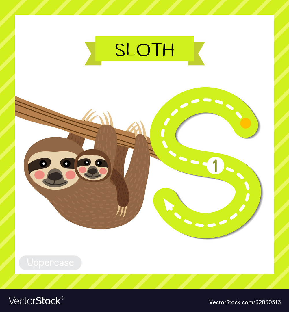 Letter s uppercase tracing mother and child sloth Vector Image