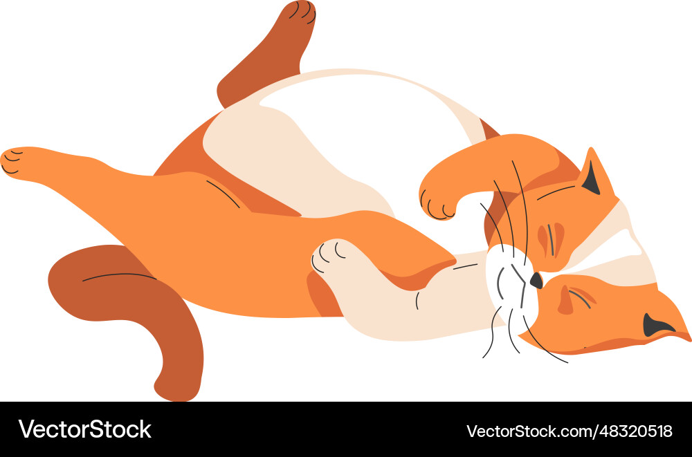 Playful kitten sleeping or laying cat character Vector Image